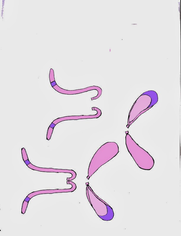 Megumi's Graphic Design: CubeeCraft