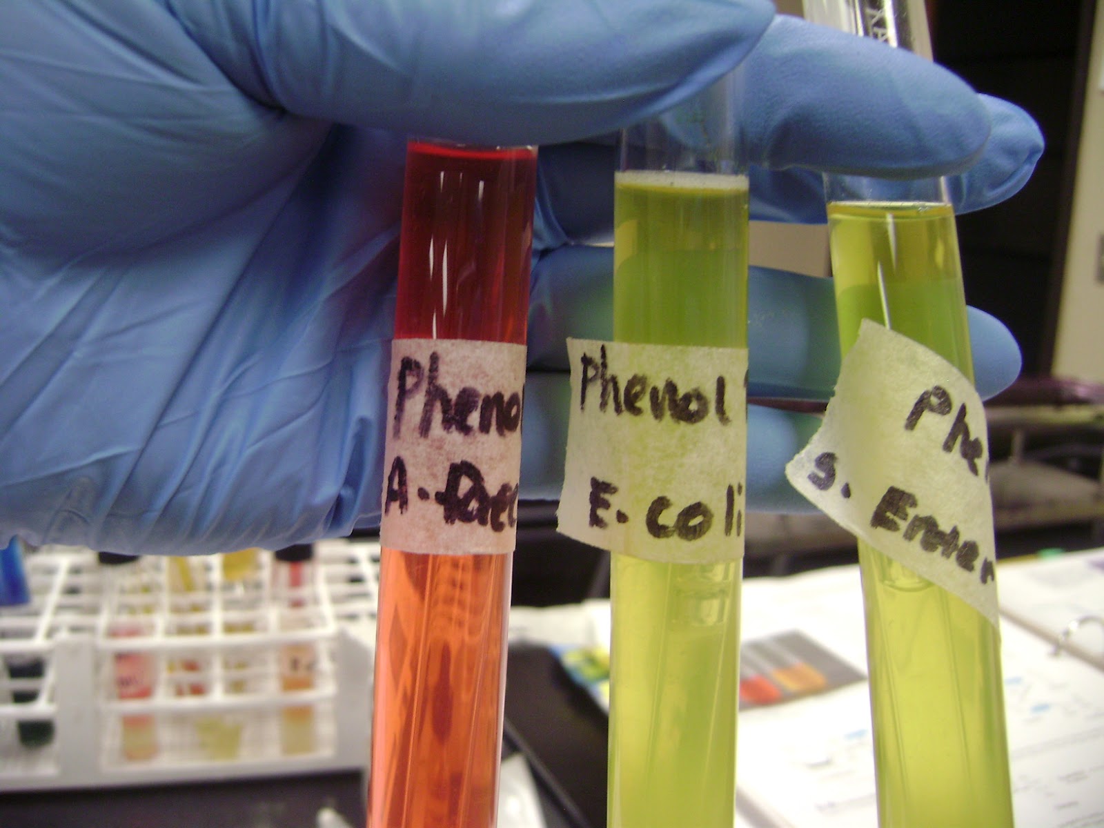 Bio E.journal: July 2012