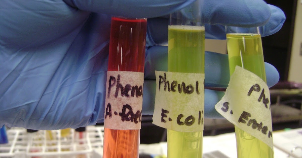Bio Ejournal Phenol Red Broth Test
