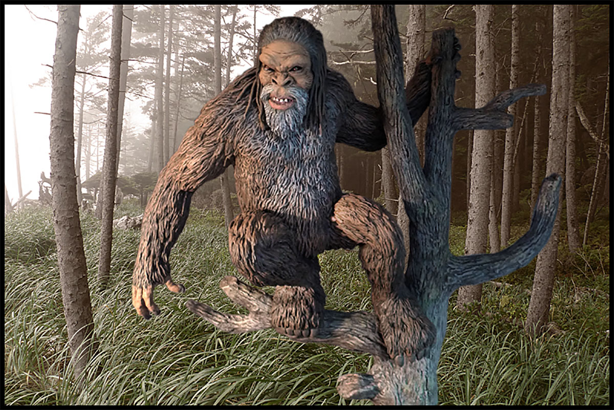 LUDstuff!: SCULPTURE: "Sasquatch In A Tree"