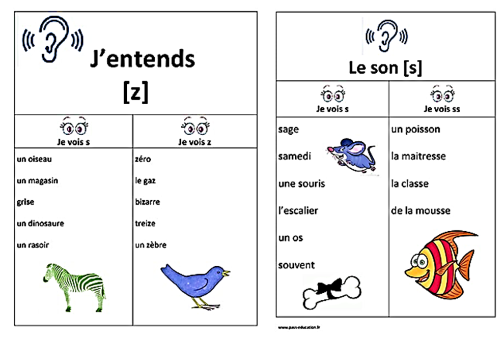 Bien sûr!: SONS [S] / [Z]