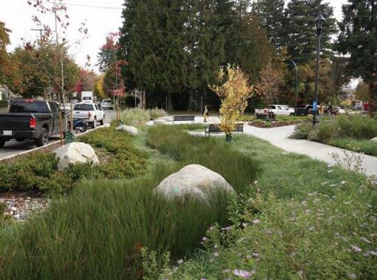 APUNTES - REVISTA DIGITAL DE ARQUITECTURA: JARDINES DE LLUVIA: UNA ...