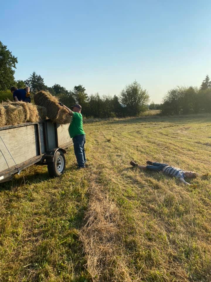 Pleasant Dreams Farm: Bucking hay.