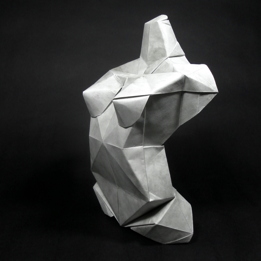 Mariano-Mi mundo el Origami: Torso