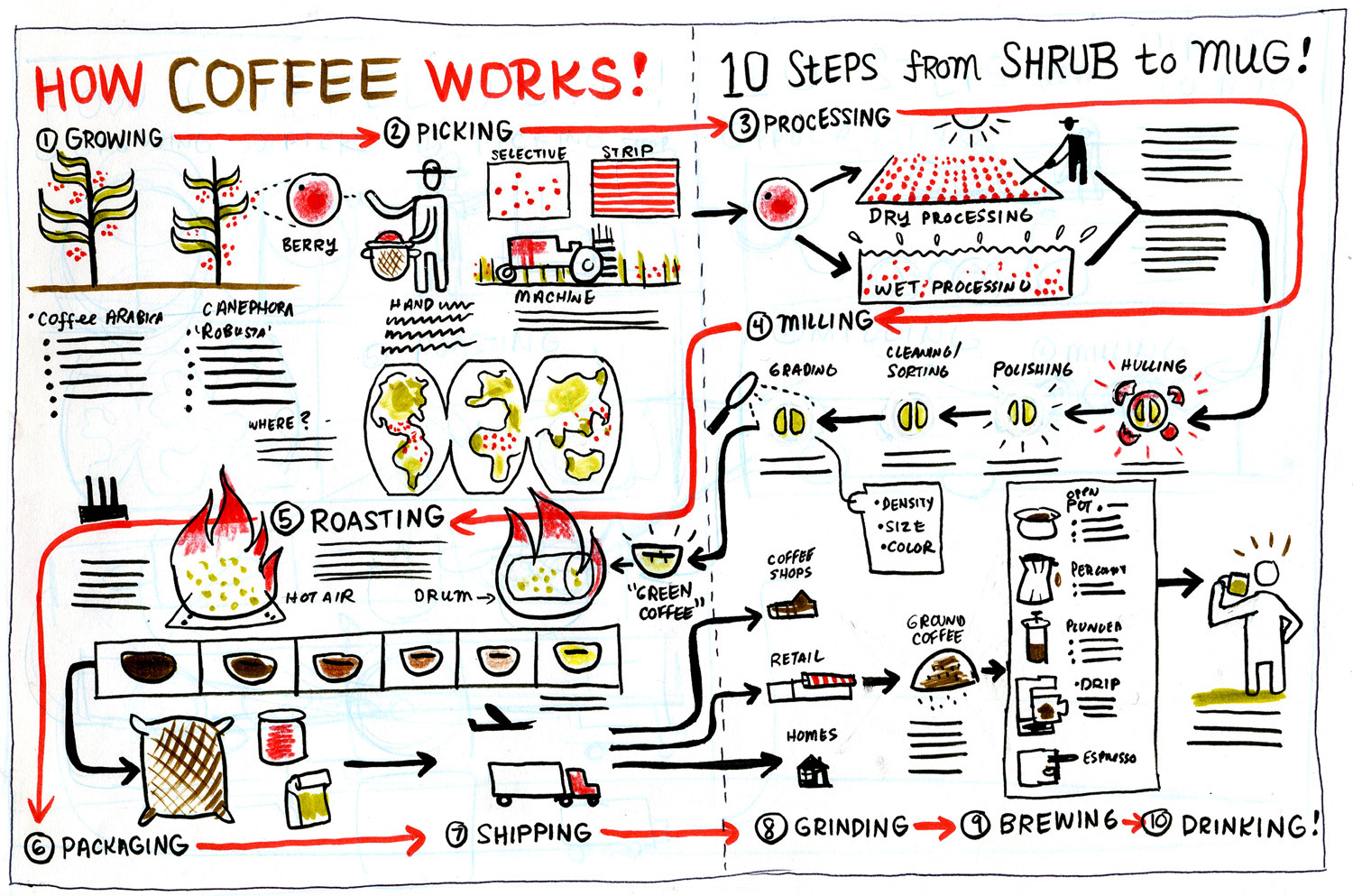 Zettwoch's Suitcase: How Coffee Works!!!