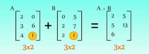 Como trabajar con matrices al programar | Ingeniería de Sistemas Como trabajar con matrices al programar | Ingeniería de Sistemas