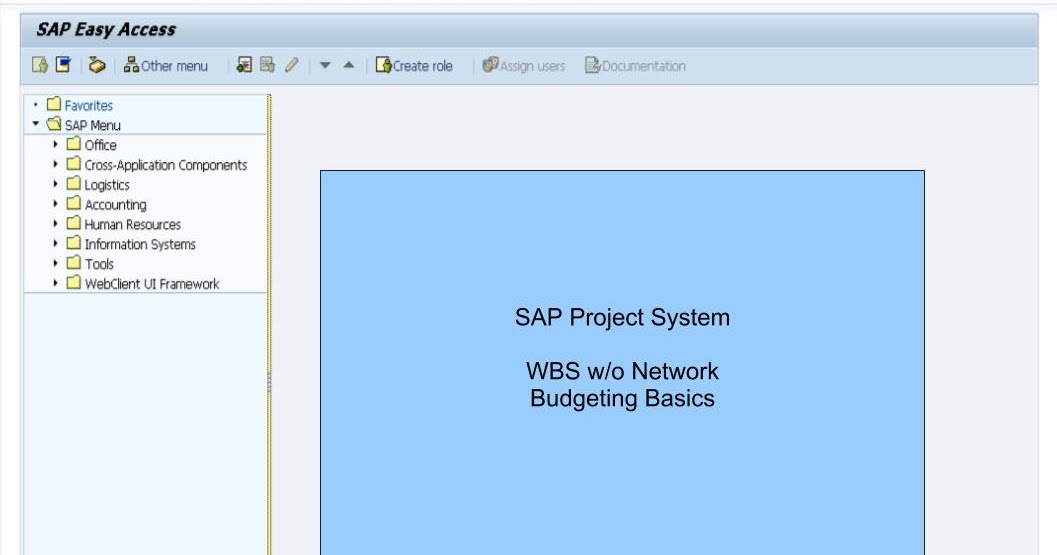 青蛙SAP分享 Froggy's SAP sharing: WBS w/o Network Budgeting Basics