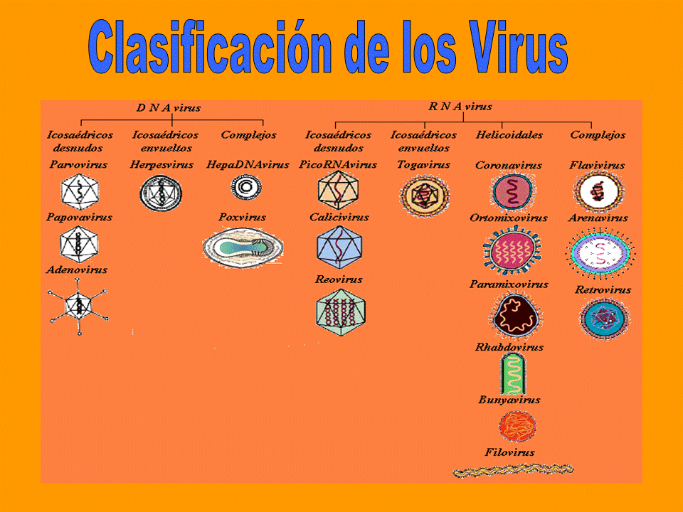M1012: GENERALIDADES
