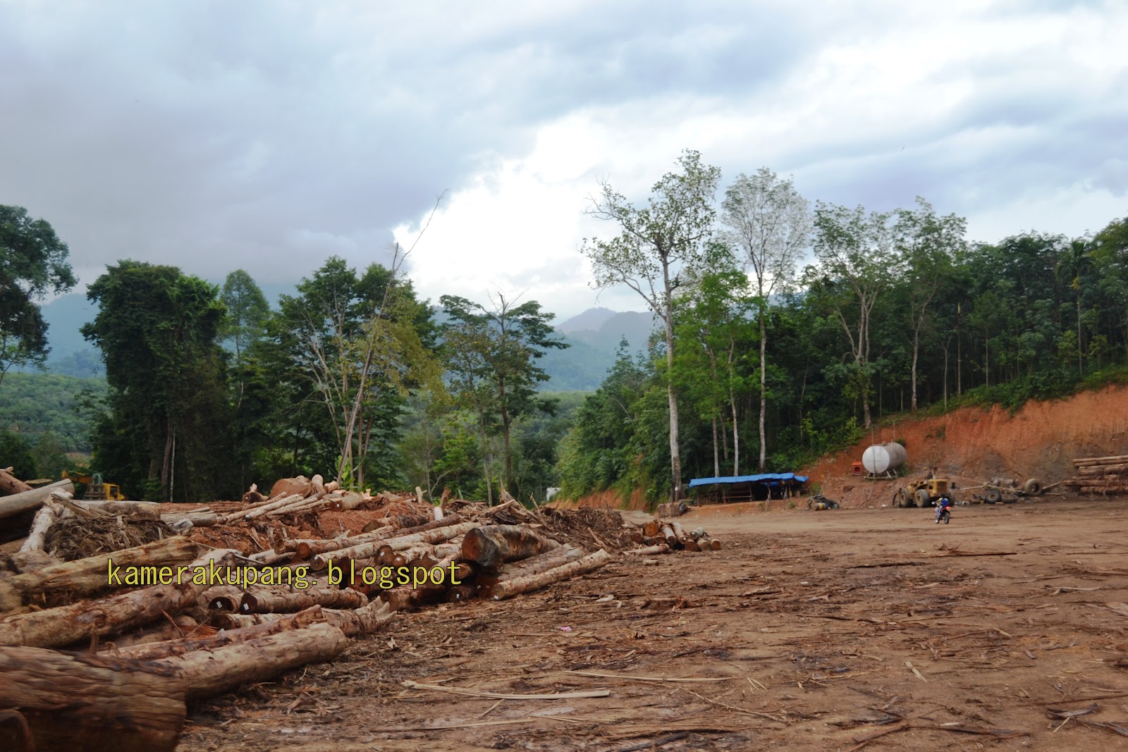 kamera kupang: GAMBAR PEMBALAKAN DI KAWASAN GUNUNG INAS, BALING.