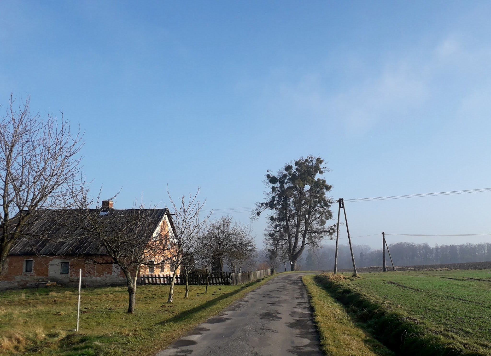 Zza okularów: Stare domy