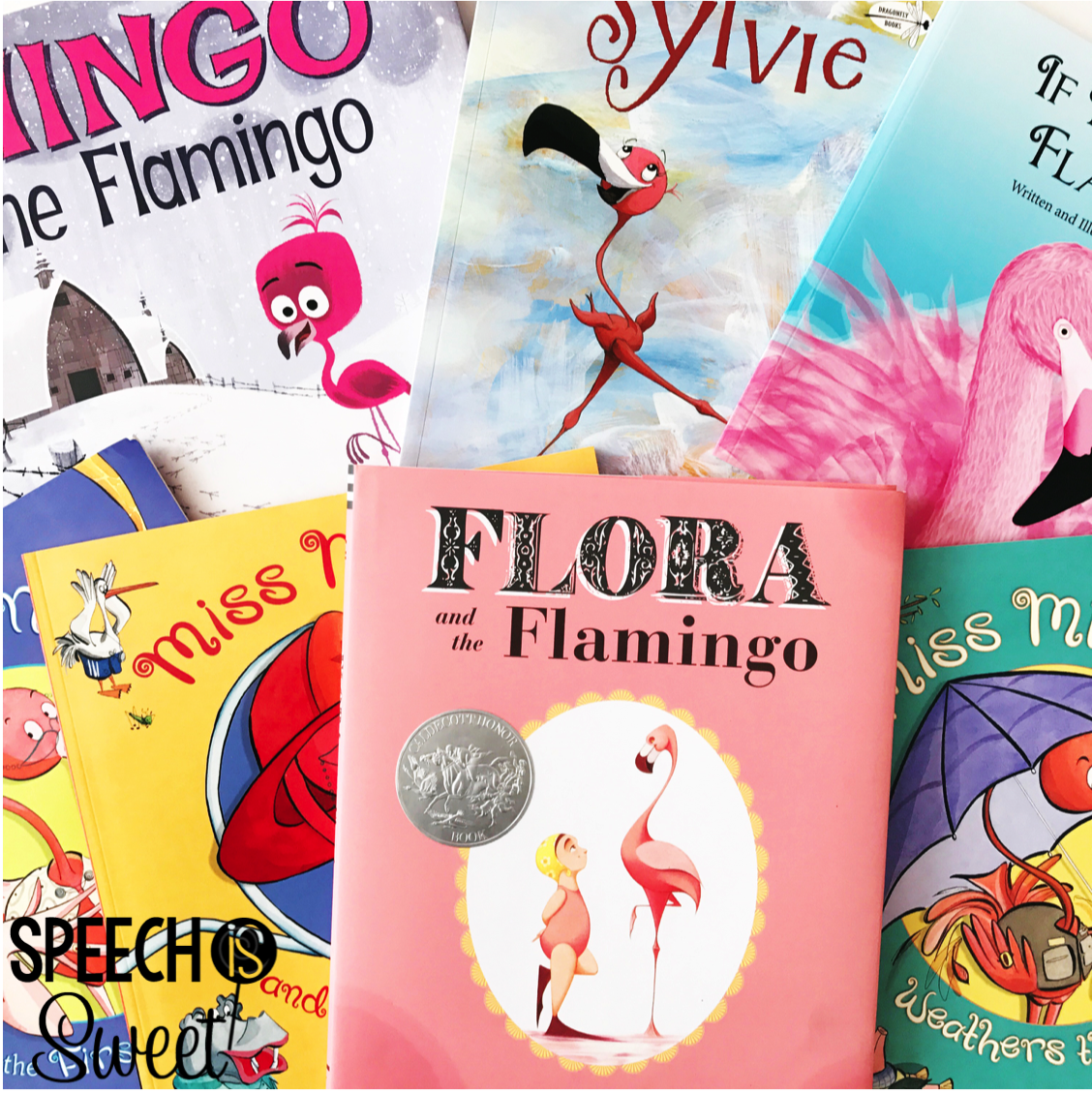 Flamingo Picture Books for Speech Therapy - Speech is Sweet