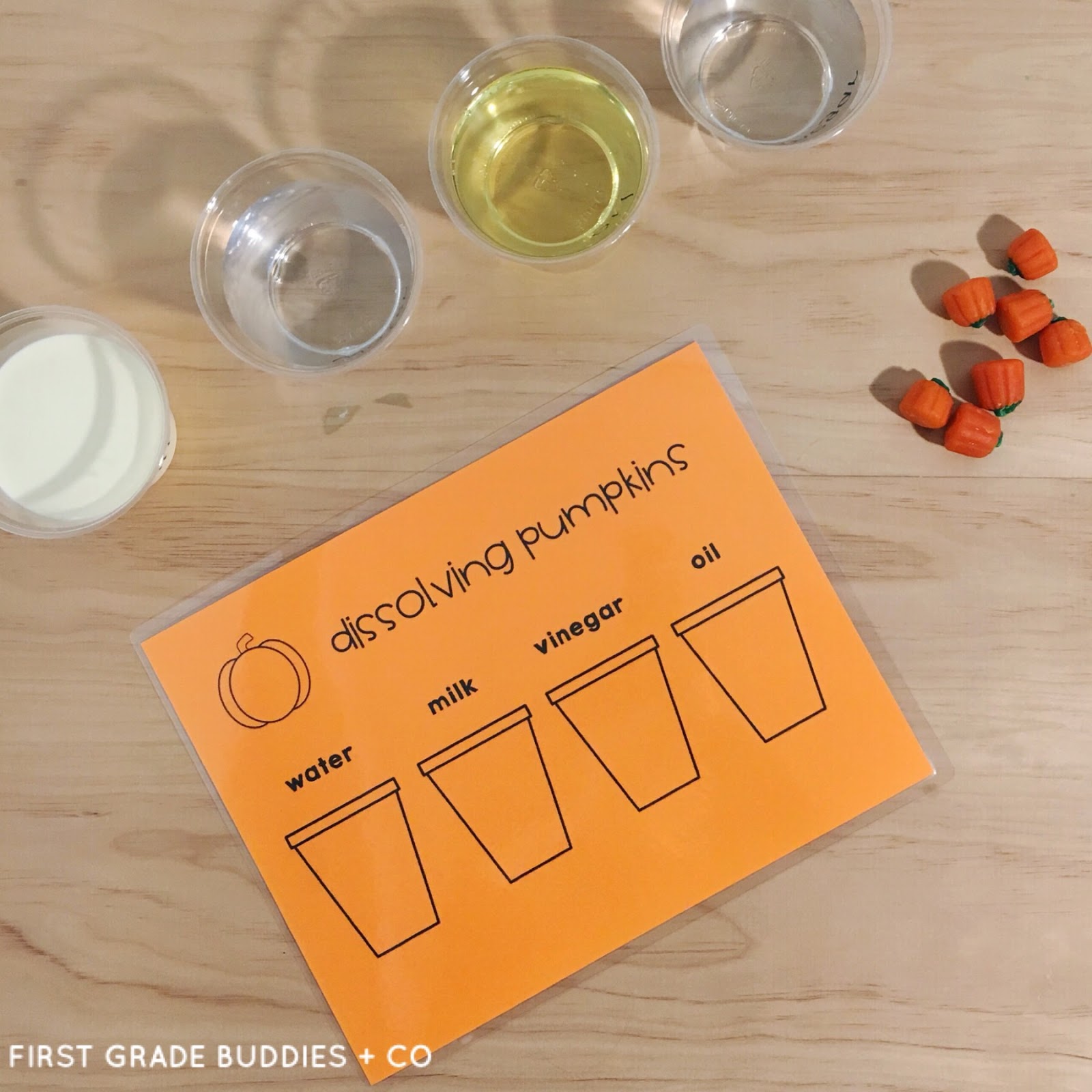 Simple Science: Dissolving Pumpkins | First Grade Buddies