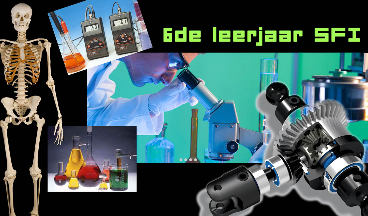 Techniek en wetenschap: Het menselijk lichaam - Een hefboom in onze arm