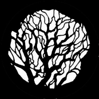 Awath Animation: Maya - GoBo