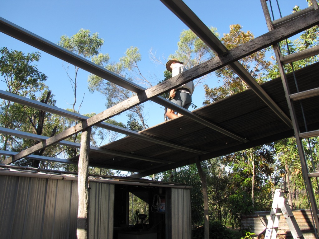 Wylo yard: Shed extensions