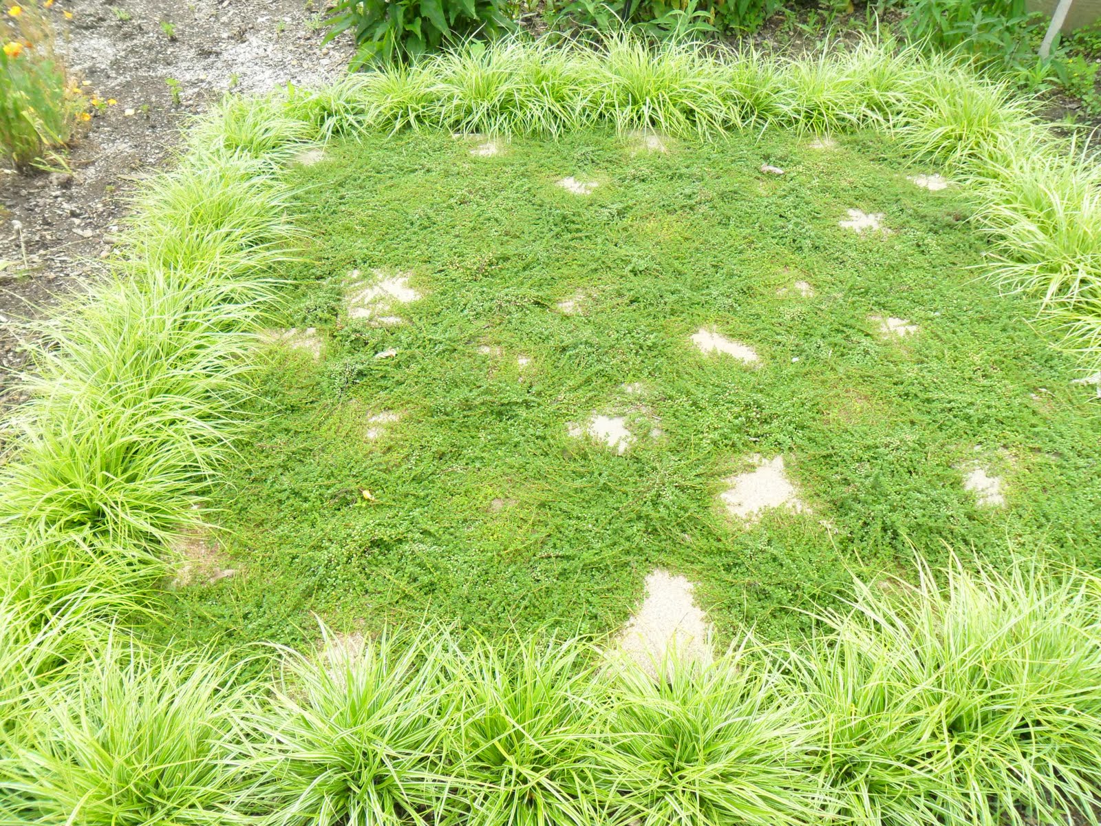 Backyard Patch Herbal Blog: Cantigny Garden Ideas