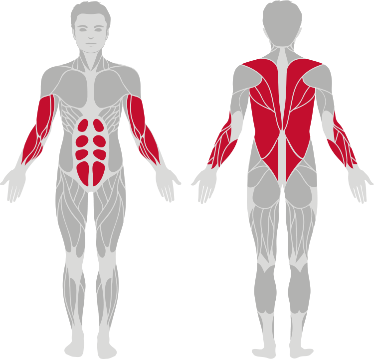 How To Get Better At Pull-Ups | The Science Behind The Pull Ups | Get ...