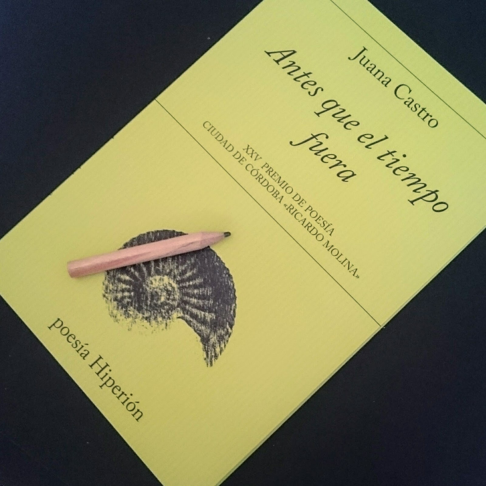 Papeles de Pablo Müller: AJUAR UN POEMA DE JUANA CASTRO