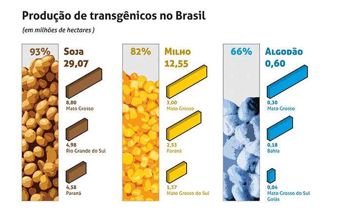 OGMs - Organismos Geneticamente Modificados: OGM: Você sabe o que é?