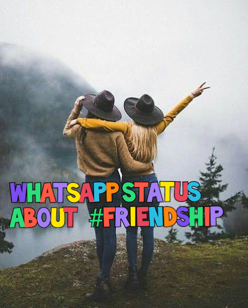 100+ best WhatsApp Status Quotes - WhatsApp Love Shayari