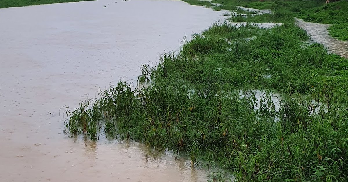 Warisan Petani: Padang Ragut Banjir