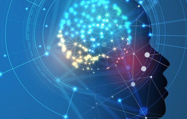 The Human Brain, and how it works? | Sri Lanka Guardian