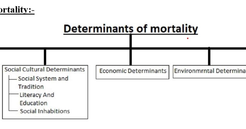 GEOGRAPHY-WORLD AND INDIA: What is Mortality ? Measurements and Major ...