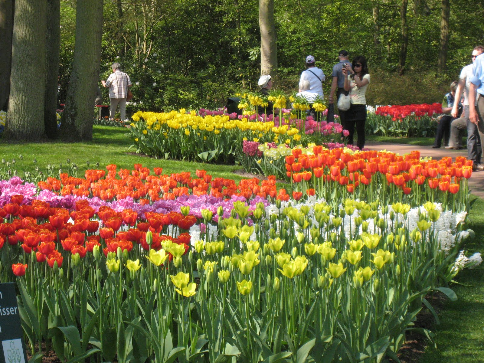 Sarah's English Writing Blog: My spring trip in Holland, Belgium and ...