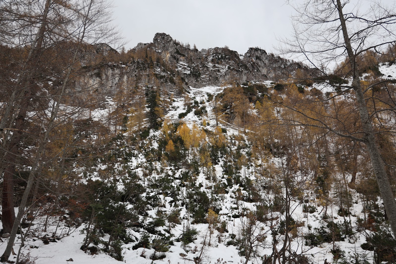 Winterzauber am Mannsberg - Entdeckungsreise durch die Natur - die ...