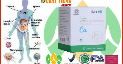 Nutrient Calcium Powder - PUSATTIENS | PUSAT AGEN DISTRIBUTOR HERBAL ...