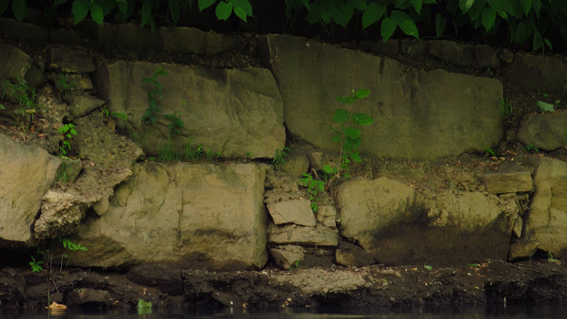 Old Industry of Southwestern Pennsylvania : A Trip Through Packsaddle Gap