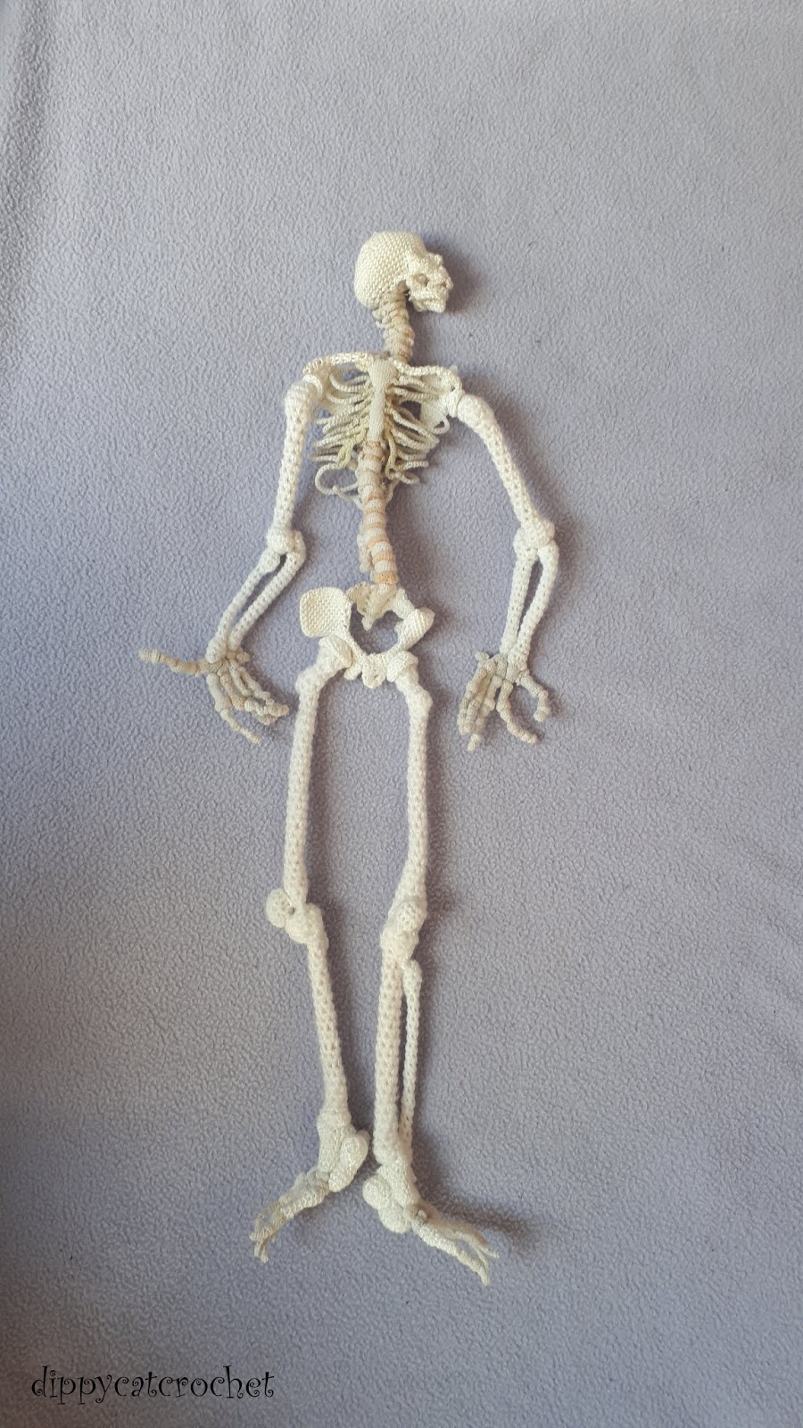 Dippy Cat Crochet: Anatomically correct skeleton