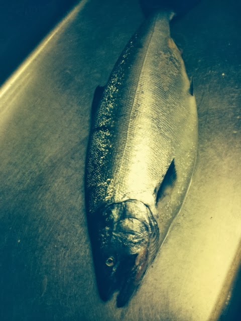 Tomoe Sushi Japanese Restaurant: 桜鱒/Sakura Masu Trout