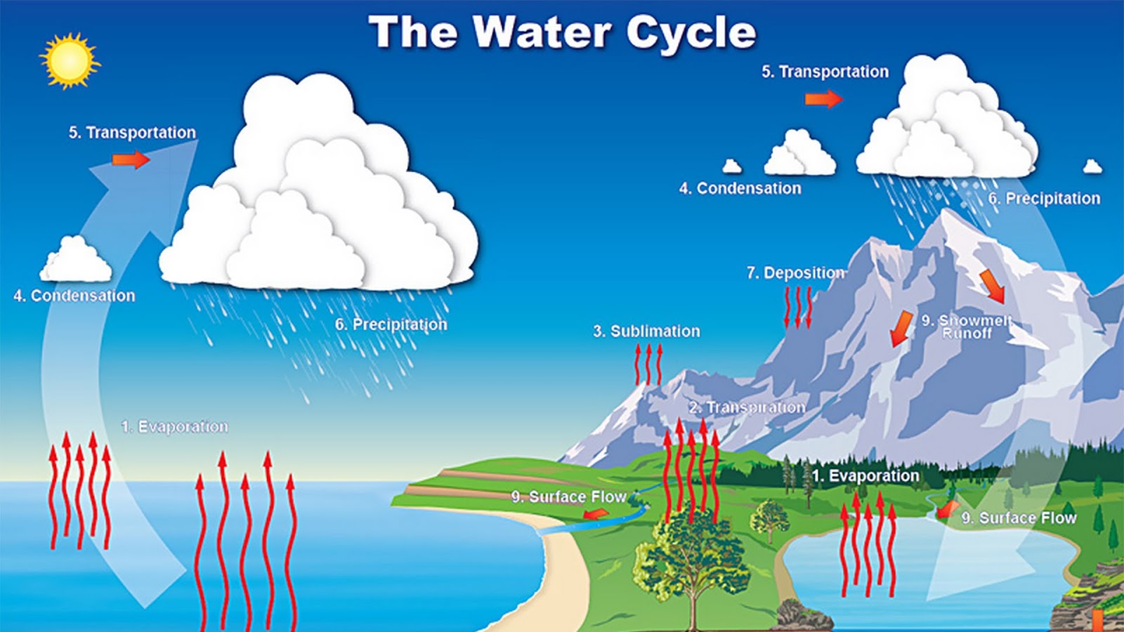 THE WATER CYCLE