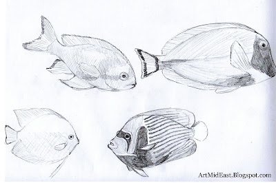 How to Draw a Fish: Step by step | Drawing Lessons