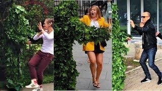 Leuk en Informatief!: Topgrappen van bosjesman