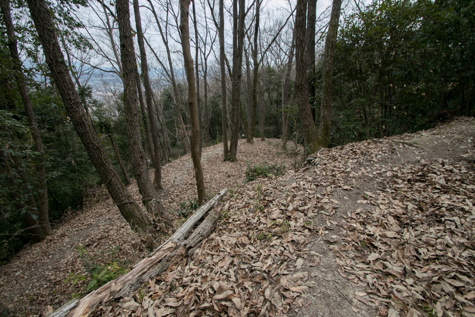 Niitakayama Castle -Intellectual pillar of Mouri clan (2)- | Japan ...