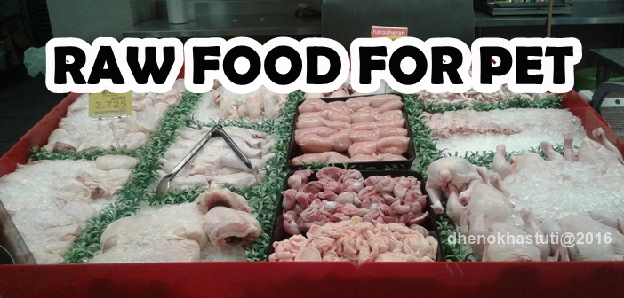 pengertian RAW food dan DRY food kucing - Elinotes - Review By Eli Setiawan