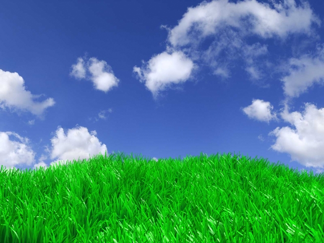 Membuat Rumput di 3DS MAX ~ Visual Efek dan Animasi