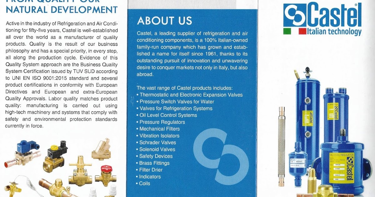 MaximaxSystems.com: CASTEL VALVES