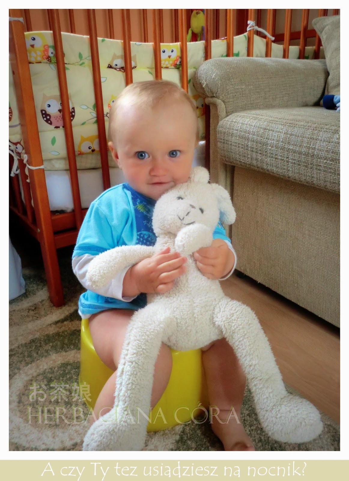 お茶娘... z zapisków herbacianej córy: Kupki, pupki i inne bajki - czyli ...