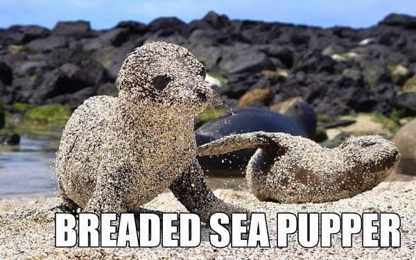 The Internet Tries Again To Name Animals (22 Pics). Part 2