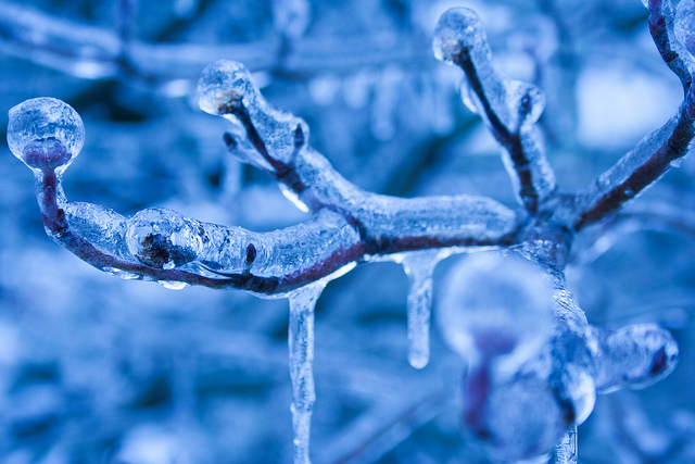 Nabil Schultschik AS Photography Component 1: Colour Image bank