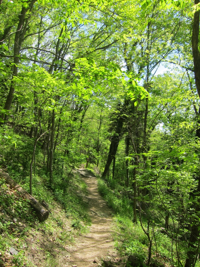 FOREVER WILD: Appalachian Trail - West Virginia