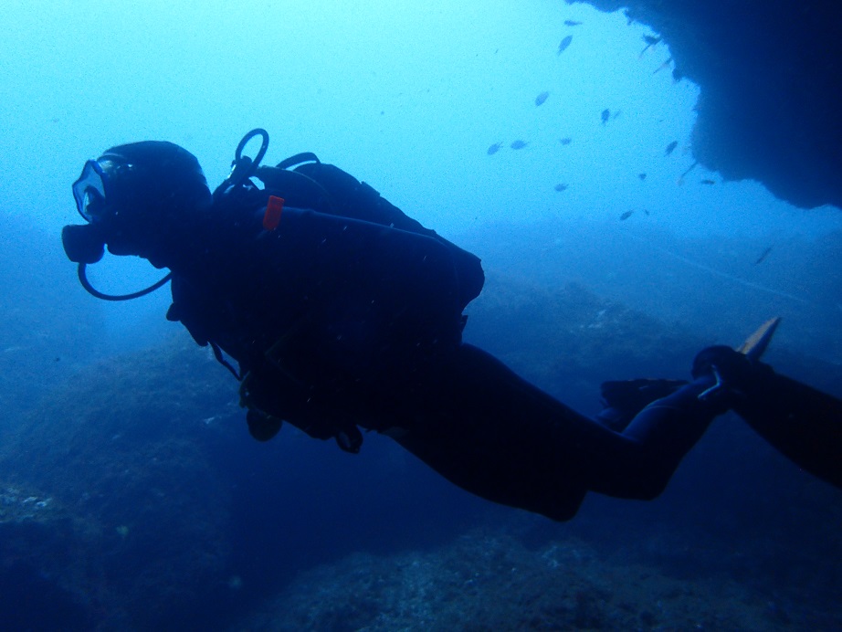 Best Spot Azores PADI 5* Dive Center: Dive Ponta Delgada Buceo Azores ...