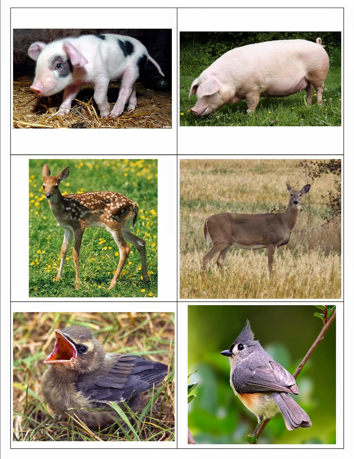 Sunbeams and Sundaes: Finding Joy in LDS Teaching