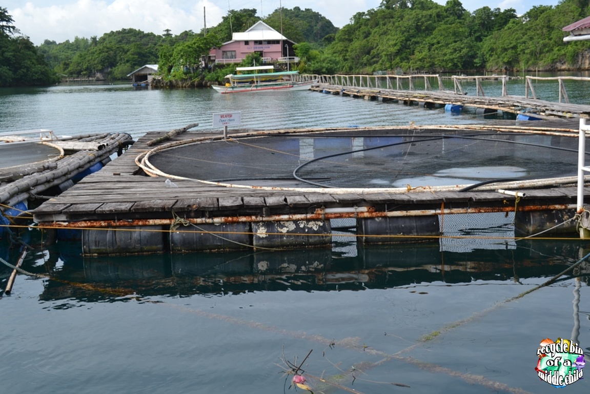 Rammmpa!: Guimaras: SEAFDEC