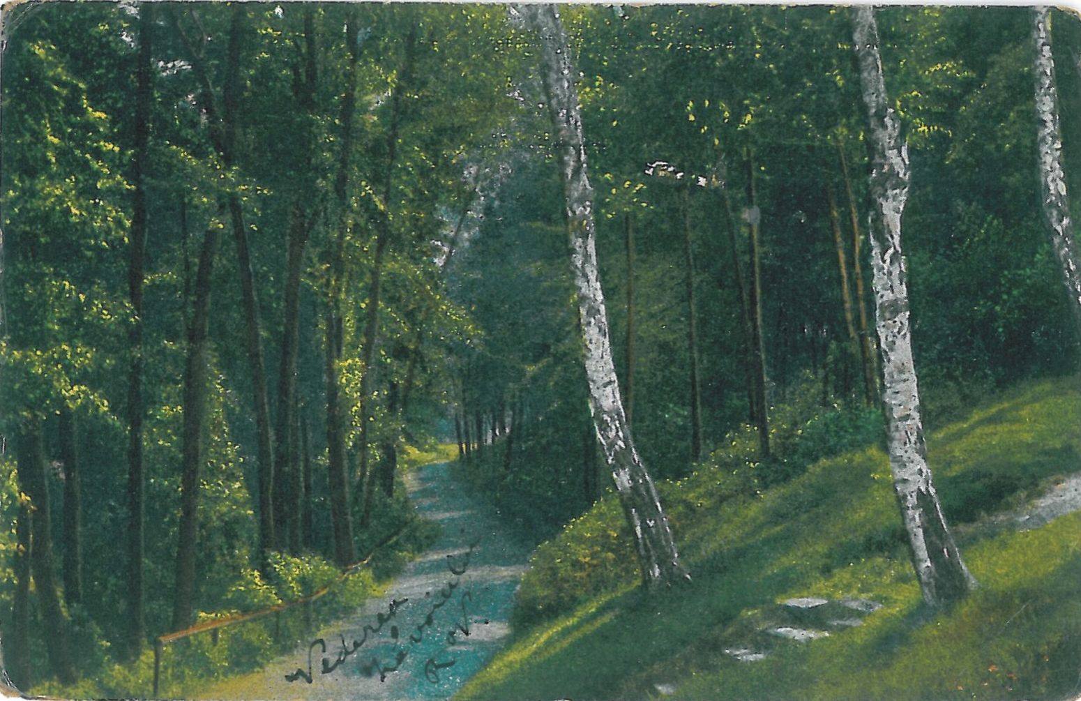 Sporturile de iarnă la Râmnicu Vâlcea (scurt istoric)