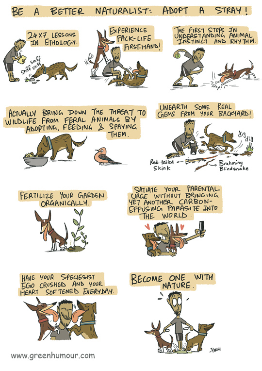 Green Humour: Be a Better Naturalist, Adopt a Stray