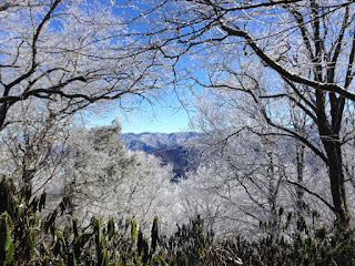 900 miles: Backpacking loop: Middle Prong - Greenbrier Ridge - AT ...